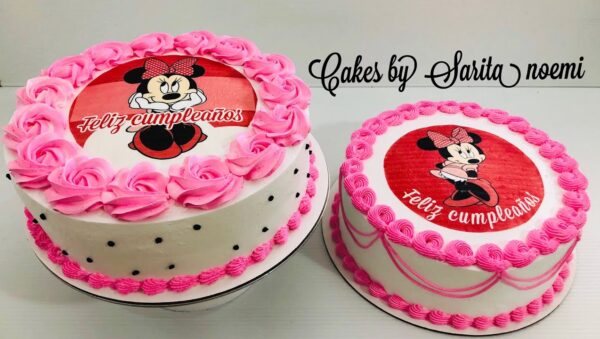 Pasteles Mágicos de Mickey y Minnie Mouse | GASDA
